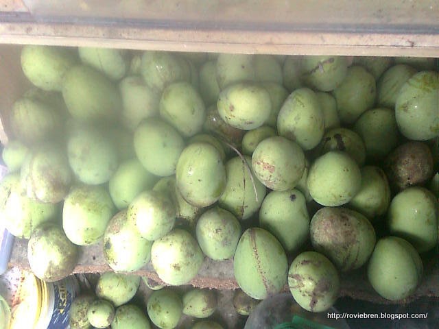 Mangga at Bagoong (Mango and Shrimp Paste) | Rovie's Awesome Journey