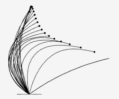 Rethinking Athletics: Pole vault: a sprinkle of physics
