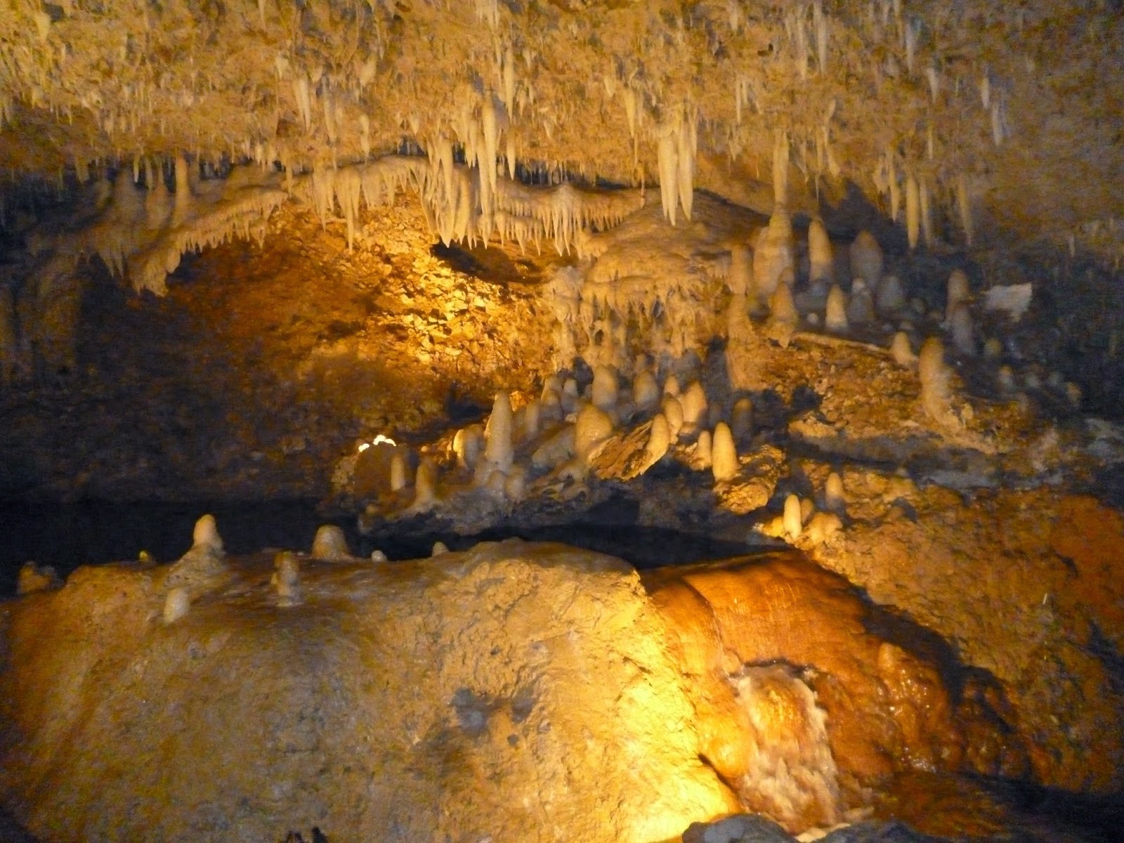 So Very Very Thankful: Harrison's Cave - Part 1
