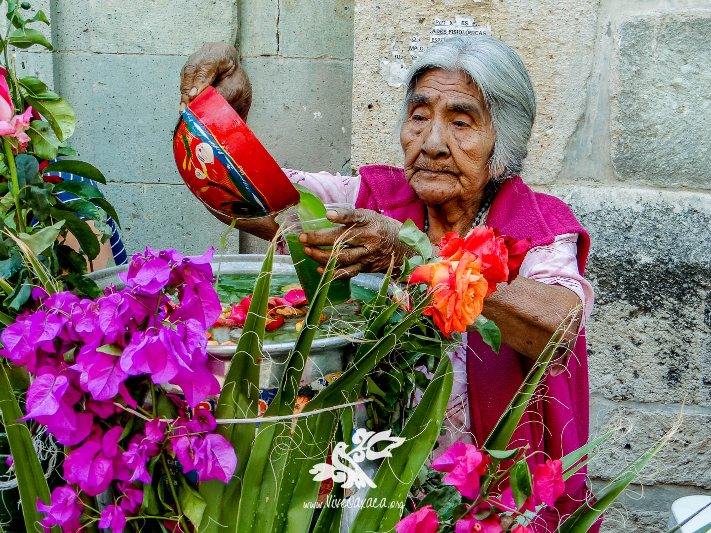 Día de la Samaritana 2018 en el Templo del Patrocinio, Oaxaca (Galería ...