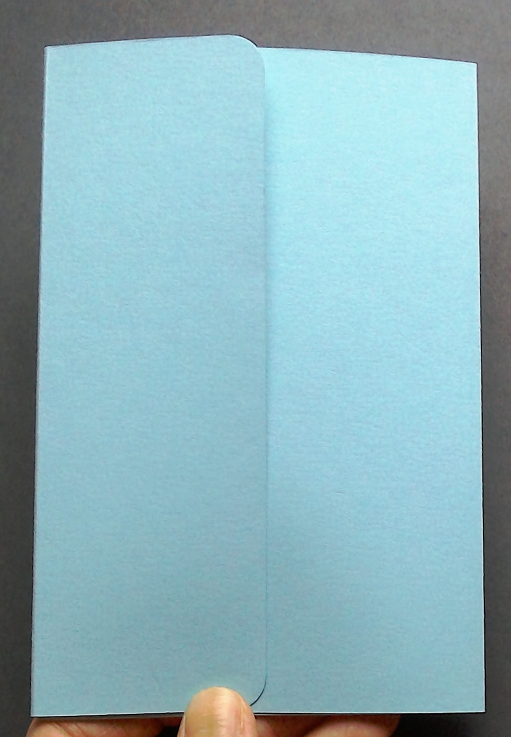 IcedImages: Envelope Fold Card