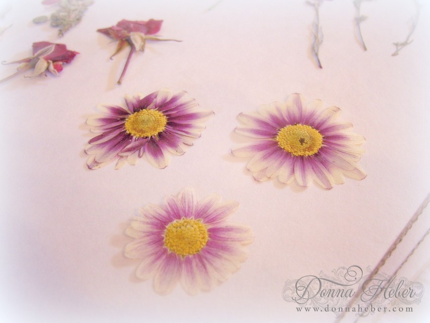 Donna's Designs: September 2012