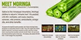 Zija Moringa, Malaysia - Independent Distributor Call 60-16-514 7631 ...