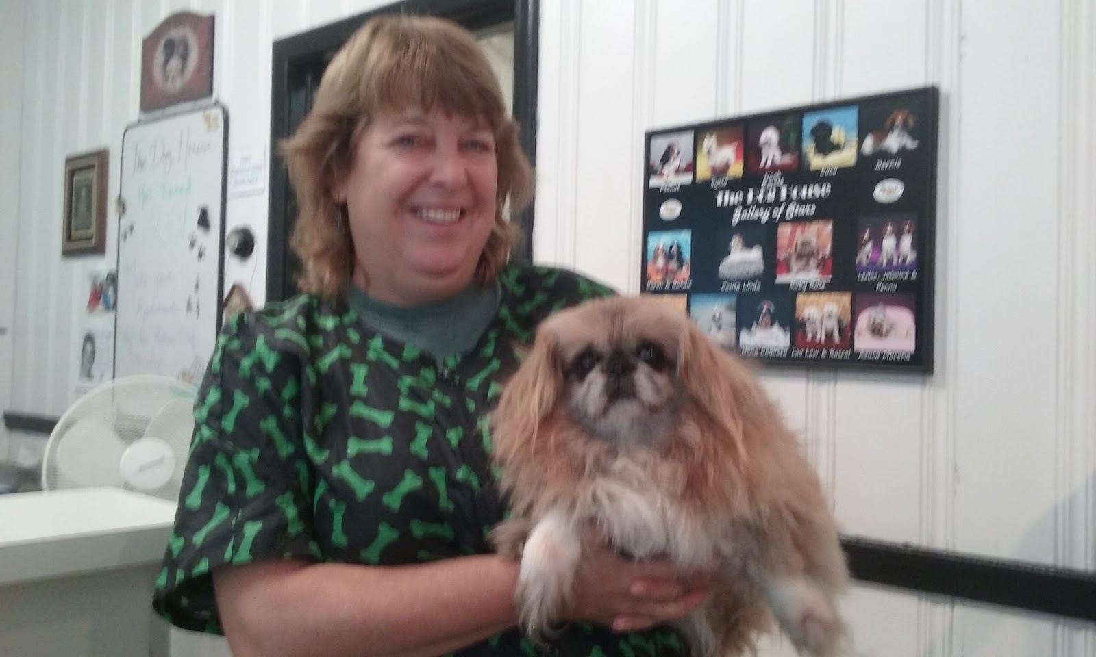 Must Love Pekes: SASSY MARIE