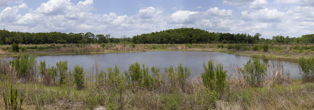 Alas, Babylon: Portico Development, Fort Myers, Florida