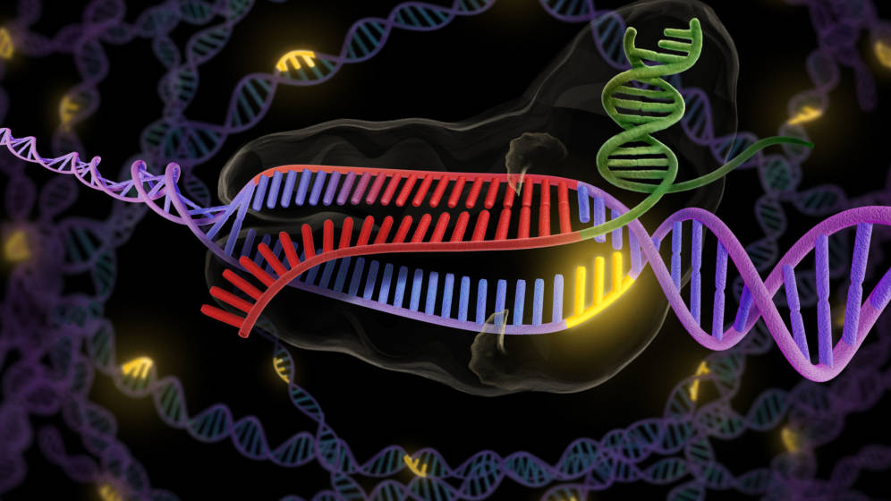 CRISPR, LA NUEVA TÉCNICA PARA MODIFICAR EL MATERIAL GENÉTICO