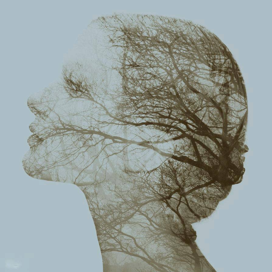 POESIE SULL'ALBERO: Nel mio giardino (Rachel Bluwstein)