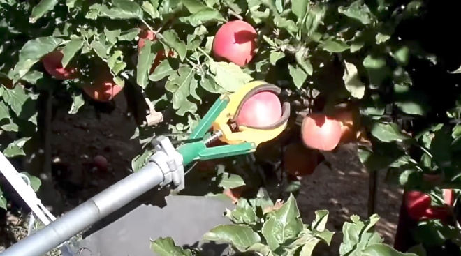 Israel FFRobotics : Teknologi Robot Pemetik Buah Apel (2017) - Afrid ...