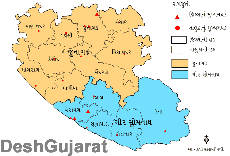 Gorvi Gujarat: Fight over lion fans stir in Gir Somnath