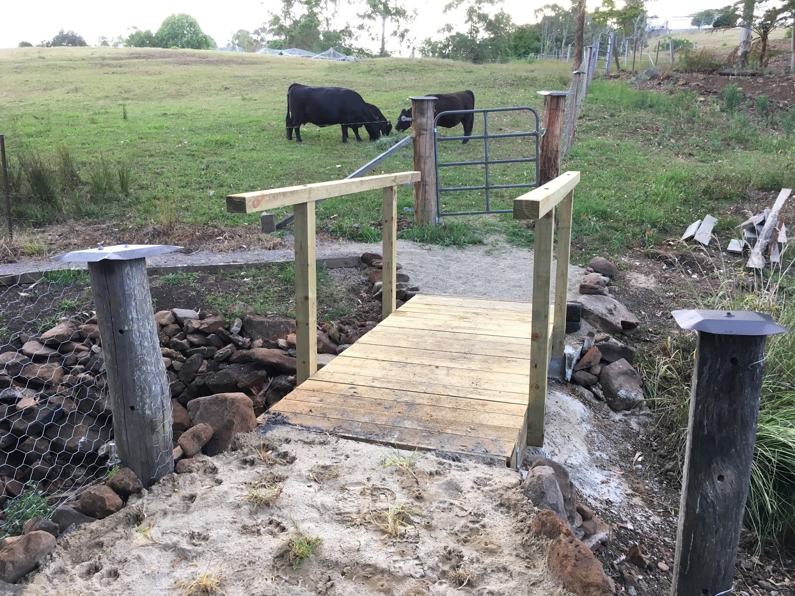 Cattle Bridge Built
