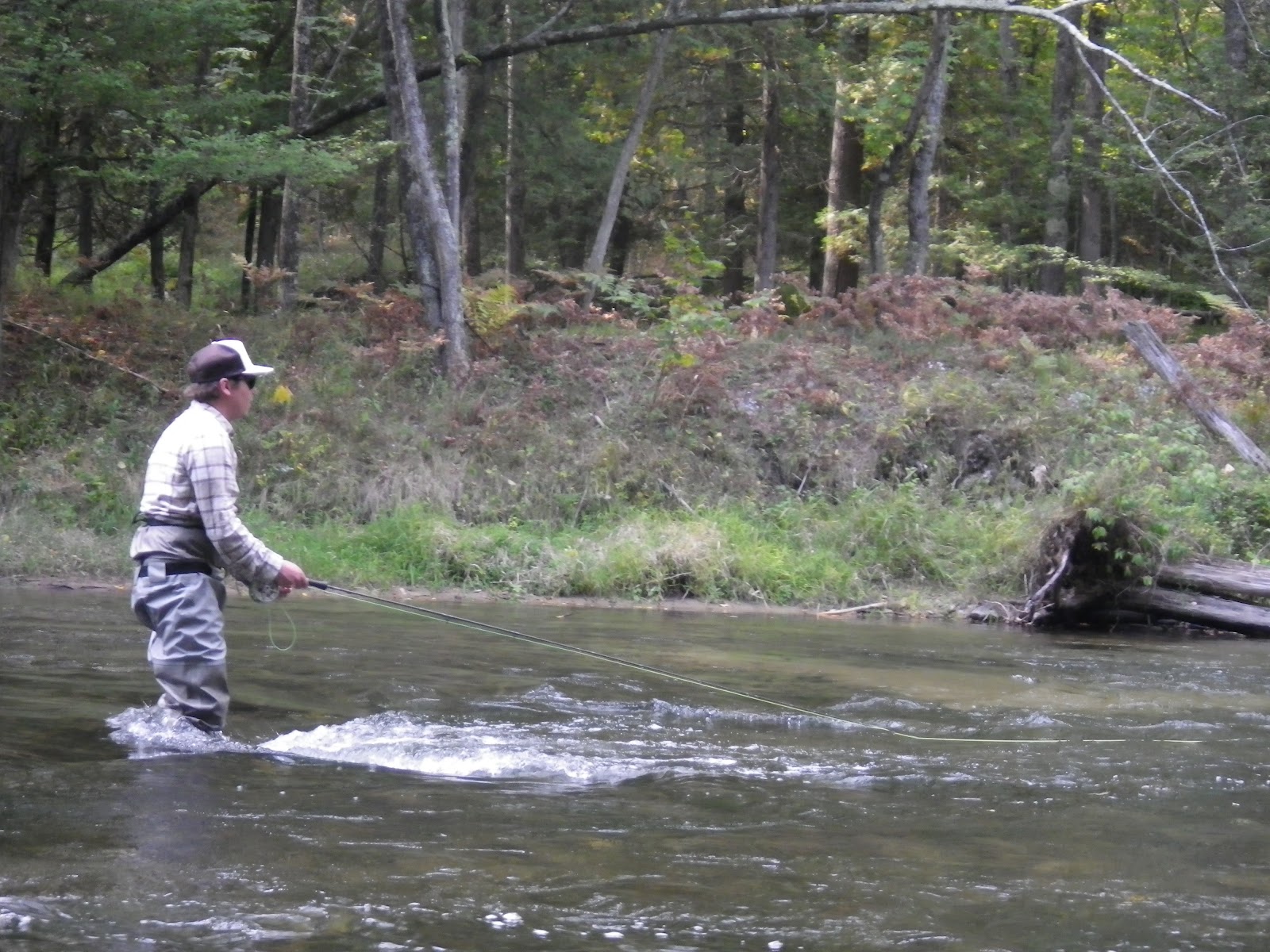 troyfanclubfederation