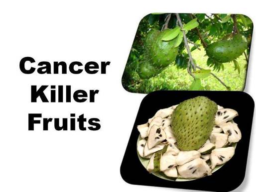 Useful Info: Graviola (Soursop) fruit - Cancer killer