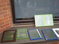 19th Century Photographic Processes: albumen