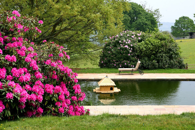 West Weddings: Mamhead Estate: a wedding venue with history and charm