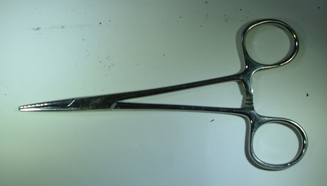 A Woodsrunner's Diary: What I got for Xmas, and Fly Fishing.