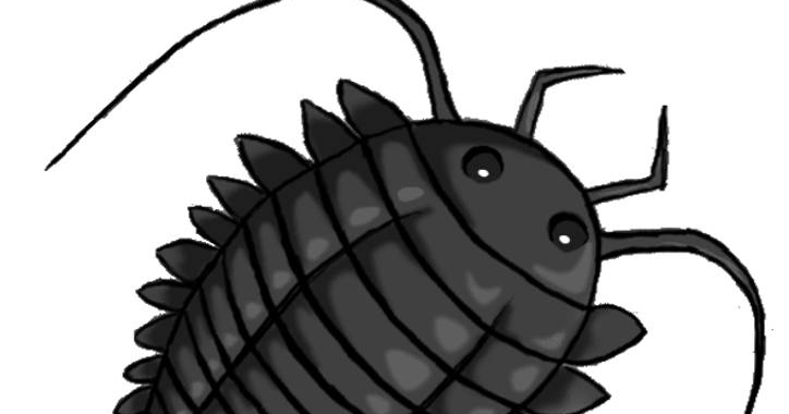 Triloblogger: La Storia dei Trilobiti