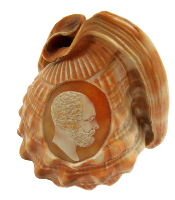 ShopCurious: Sea shanty style