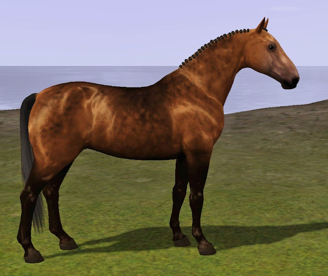 Sims 3 height slider horse shoe - daxcatering