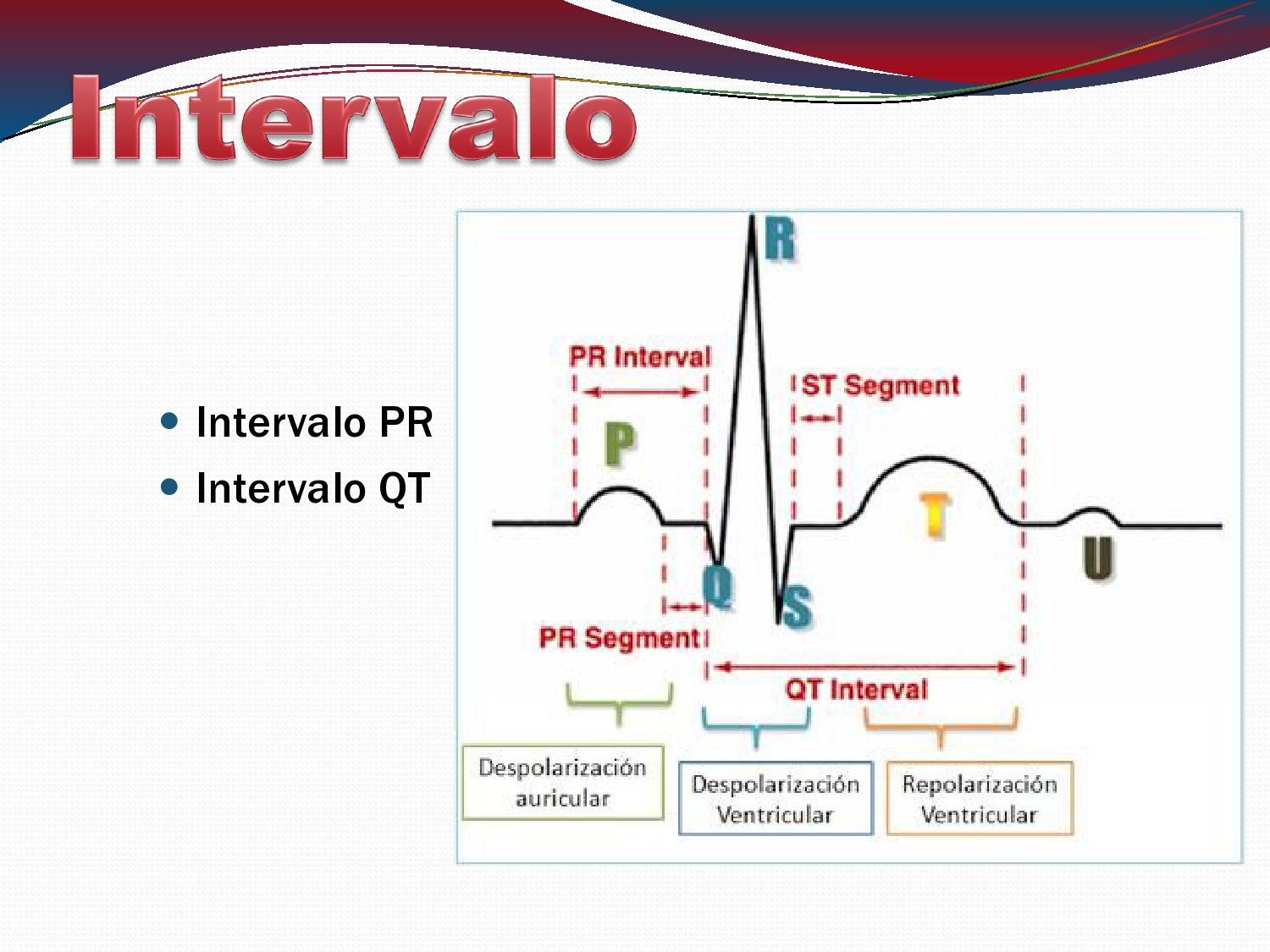 TEMAS MÉDICOS: ELECTROCARDIOGRAMA NORMAL