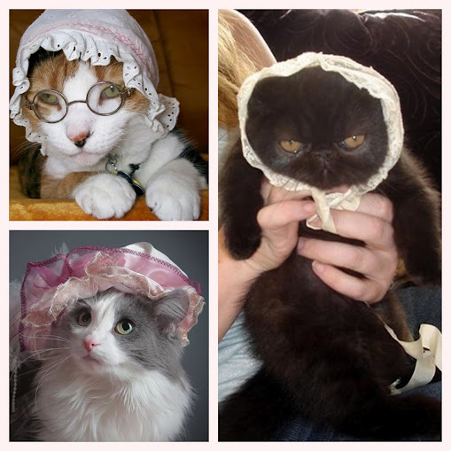 Penniless Socialite: Stuff I Wore: Cat Bonnets and a Winner