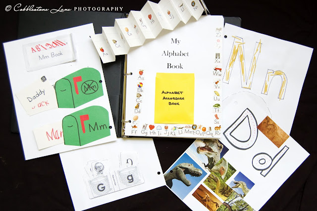 The Nature of Grace: HOMESCHOOL - Alphabet Book