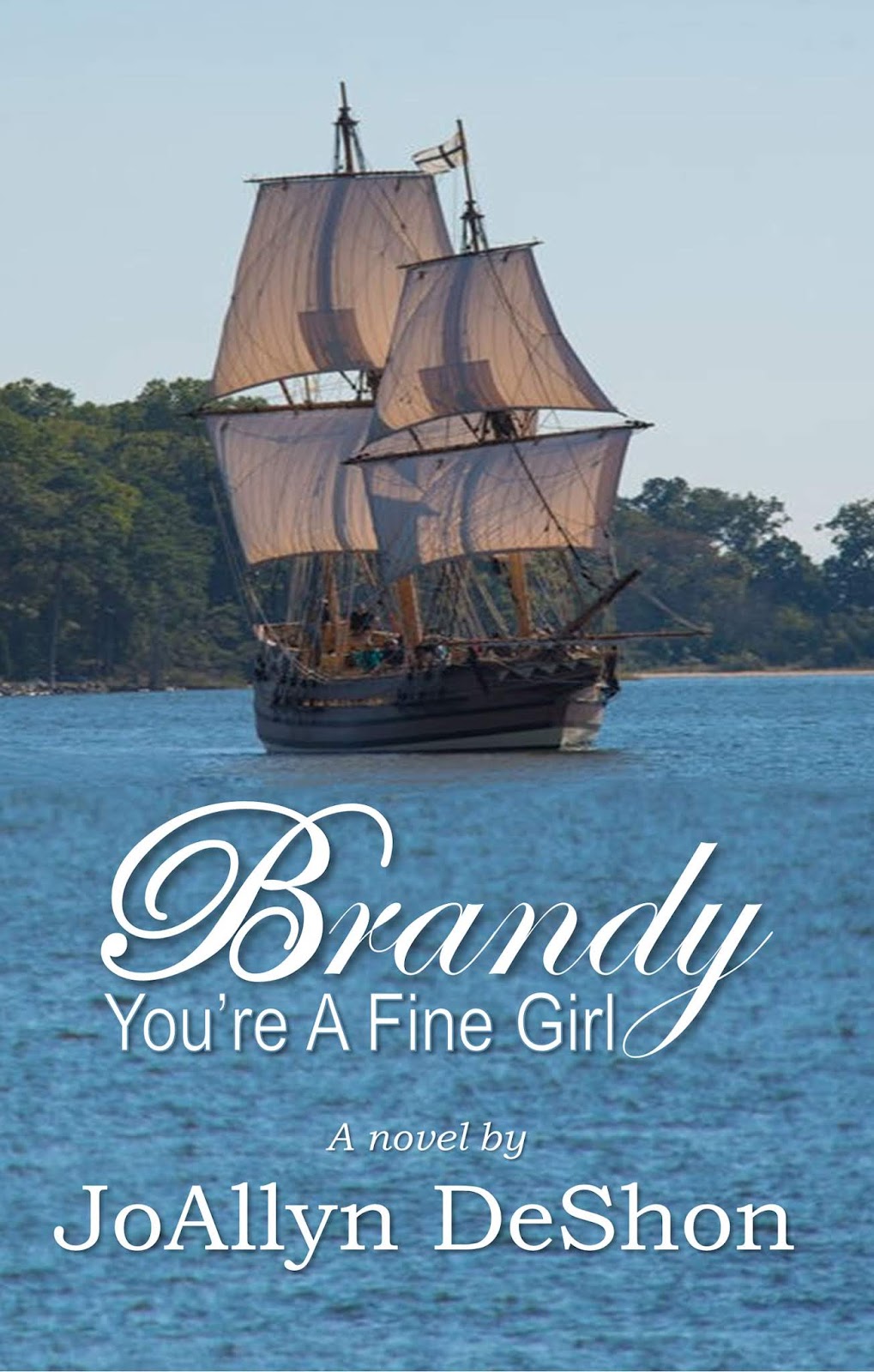 The Brandy Book: February 2019