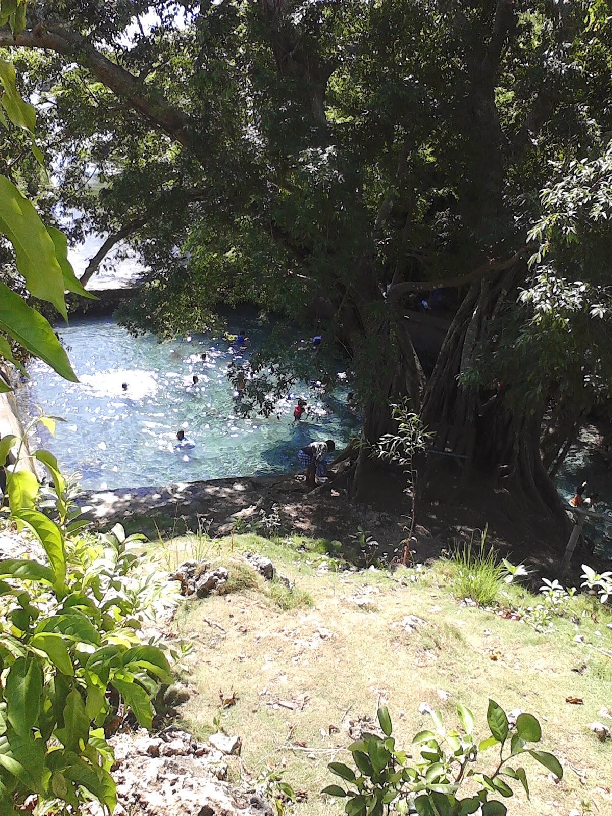 Roger The Explorer: Mesmerize the Beauty of Tabogon, Cebu