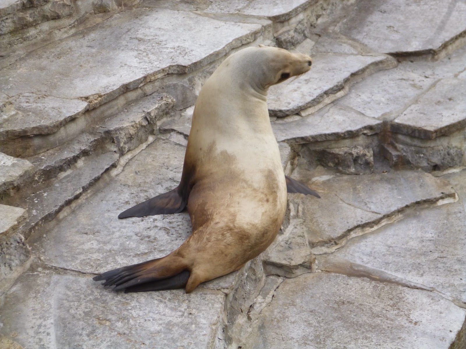 Ausflugtipps für Familien: Der Zoo Wilhelma in Stuttgart ist ein ...