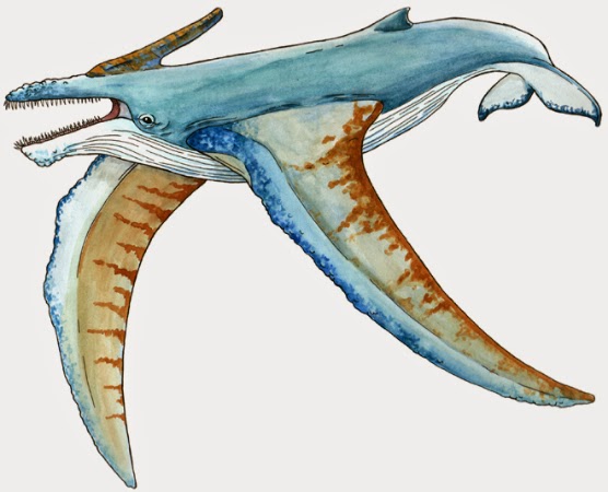 Carjacked Seraphim: New Animal Hybrids