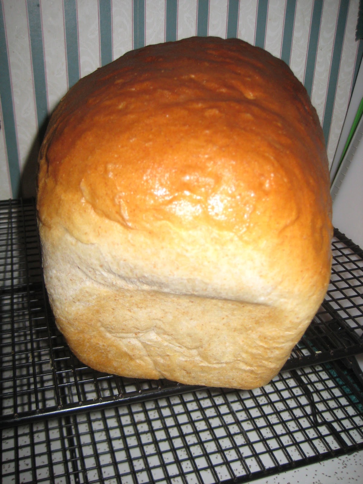 Back to Basics...: A new variation on our favorite bread...