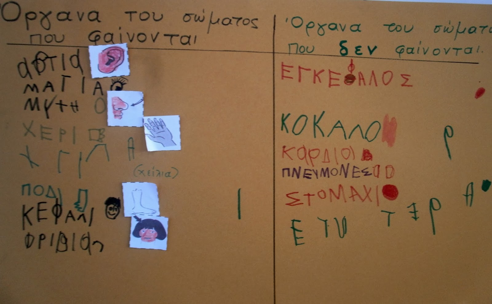 1ο ΝΗΠΙΑΓΩΓΕΙΟ ΙΣΤΙΑΙΑΣ: Μαθαίνω το ανθρώπινο σώμα στο Νηπιαγωγείο (μέρος1)