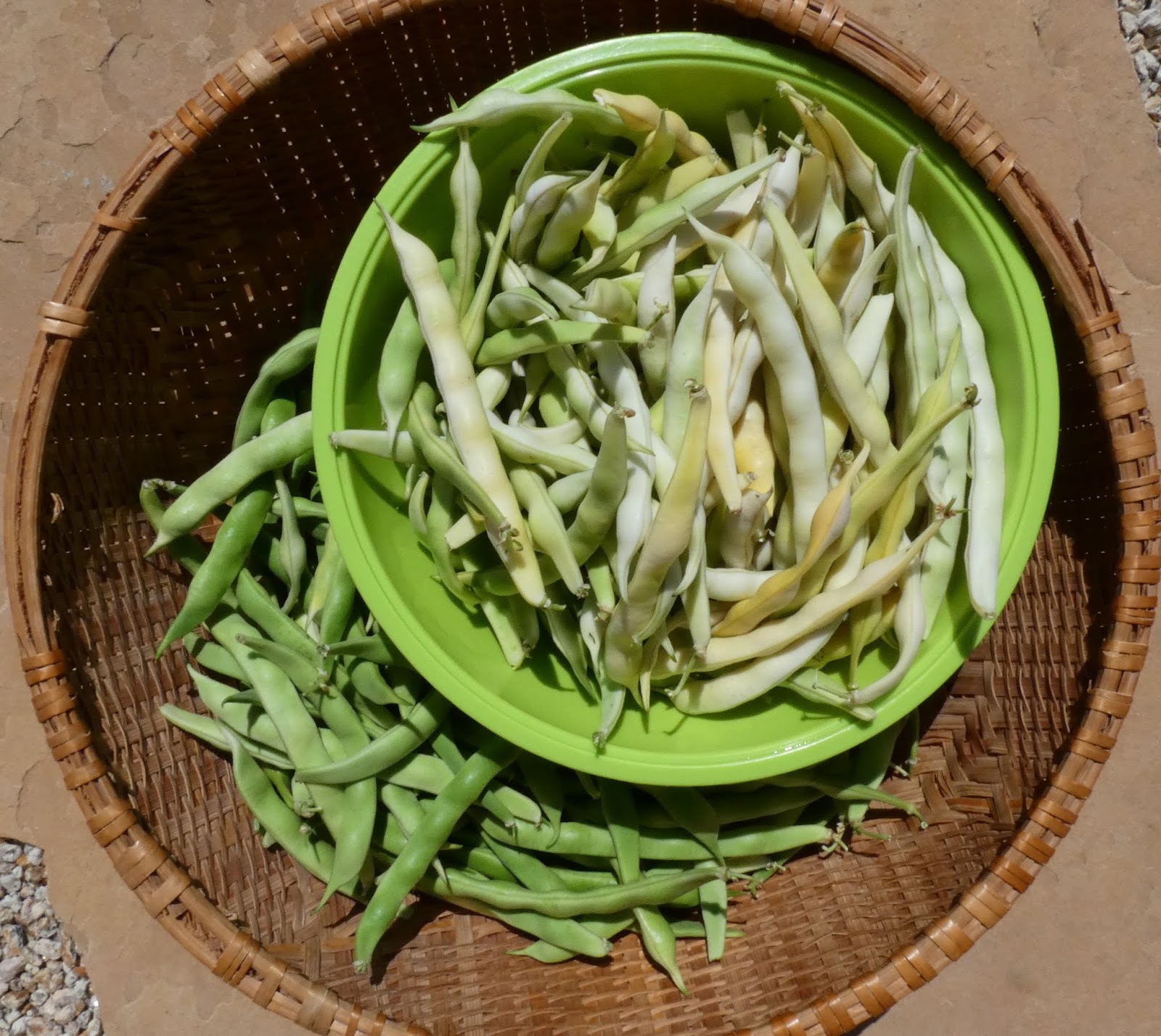 From Seed To Table: September 2018