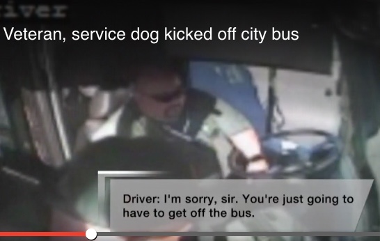 Wounded Times: Vietnam Veteran and PTSD Service Dog Kicked Off Bus?