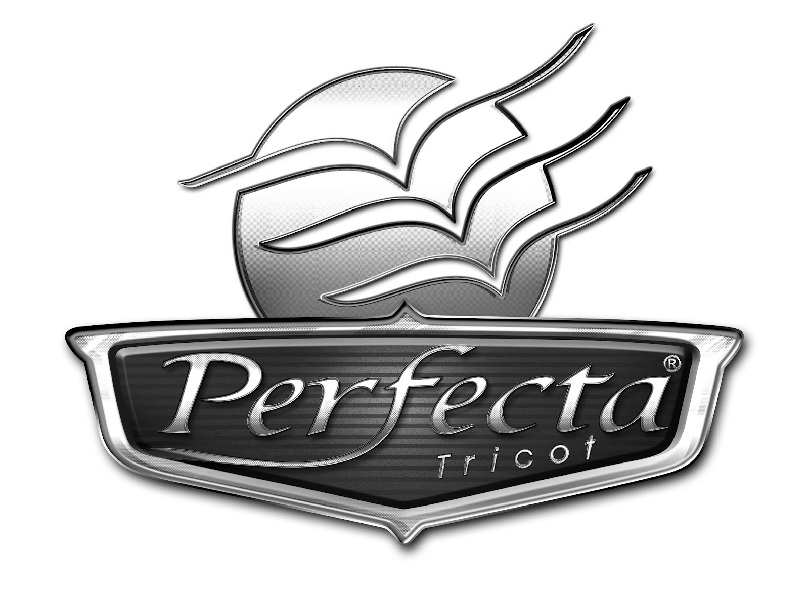Confecções Perfecta: A Empresa