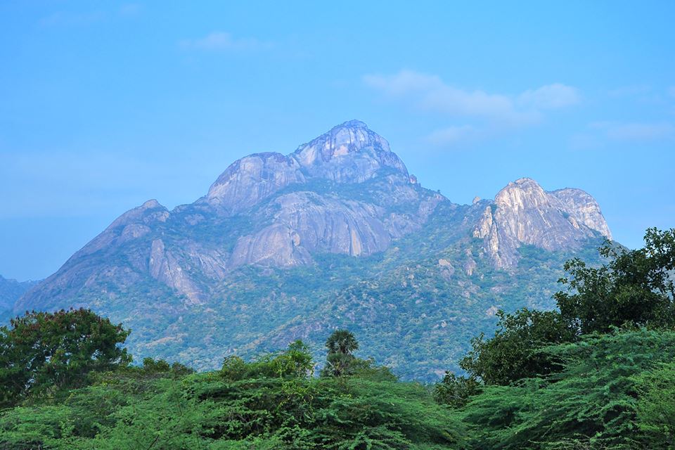ARYANKAVU, ARYANKAVU HILL STATION OF KERALA, ARYANKAVU TOURIST ...