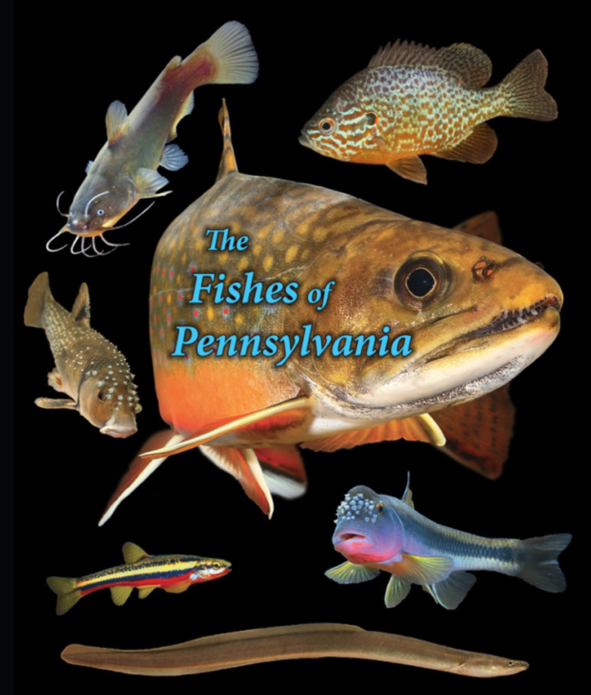 PA Environment Digest Blog: Landmark Fishes Of Pennsylvania Book Worth ...