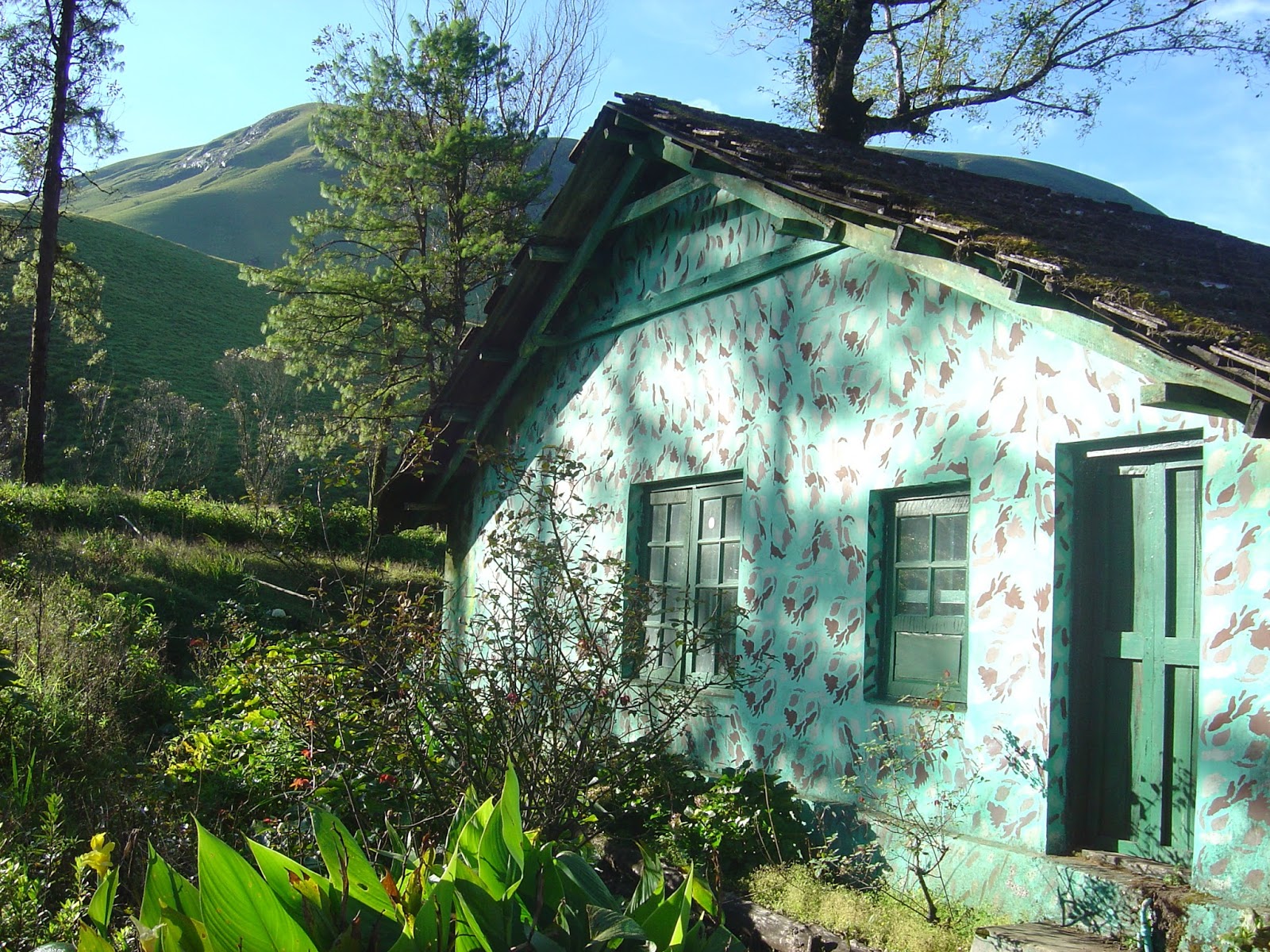followme: Grass Hills, Valparai, God's Own Backyard.