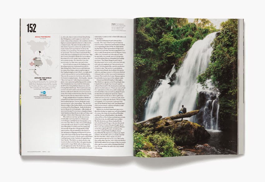 Paginamaqueta: Matt Willey, diseñador editorial del año