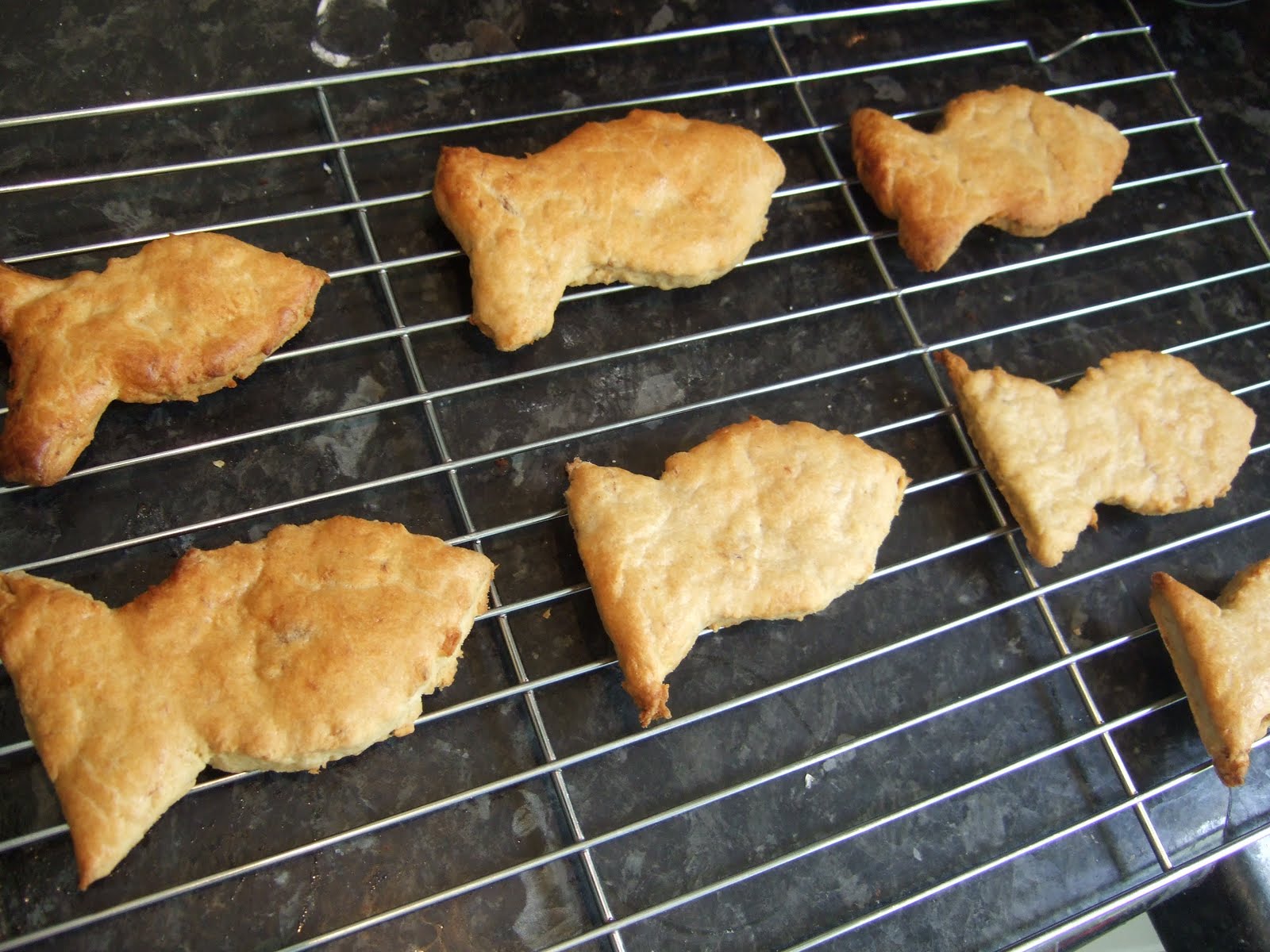 TV raised my kids: Octonauts: Fish Biscuits