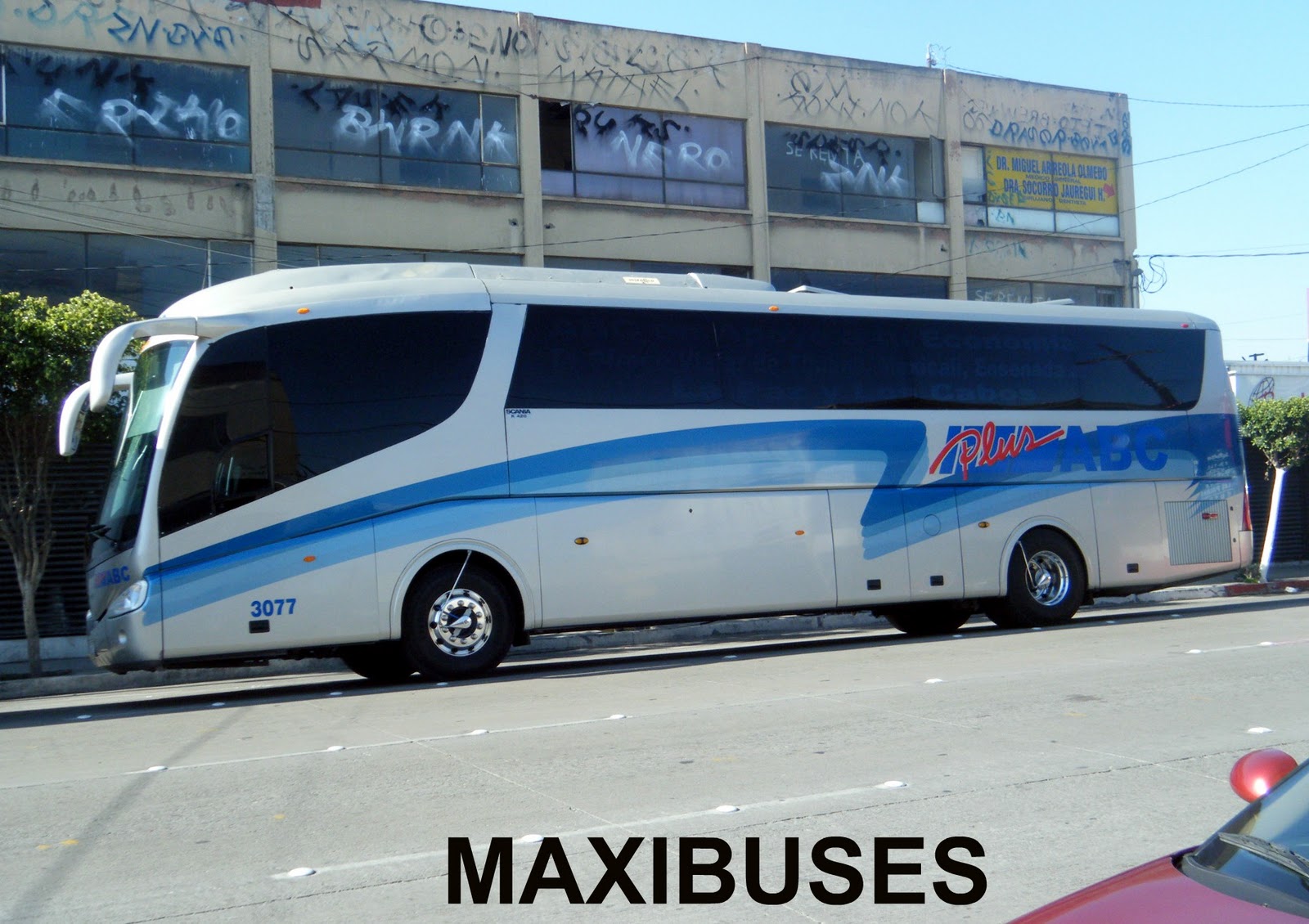 MAXIBUSES: AUTOTRANSPORTES DE LA BAJA CALIFORNIA, ABC PLUS