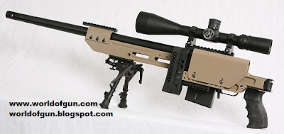 World of Gun: CHEYTAC USA M300 .308 WIN