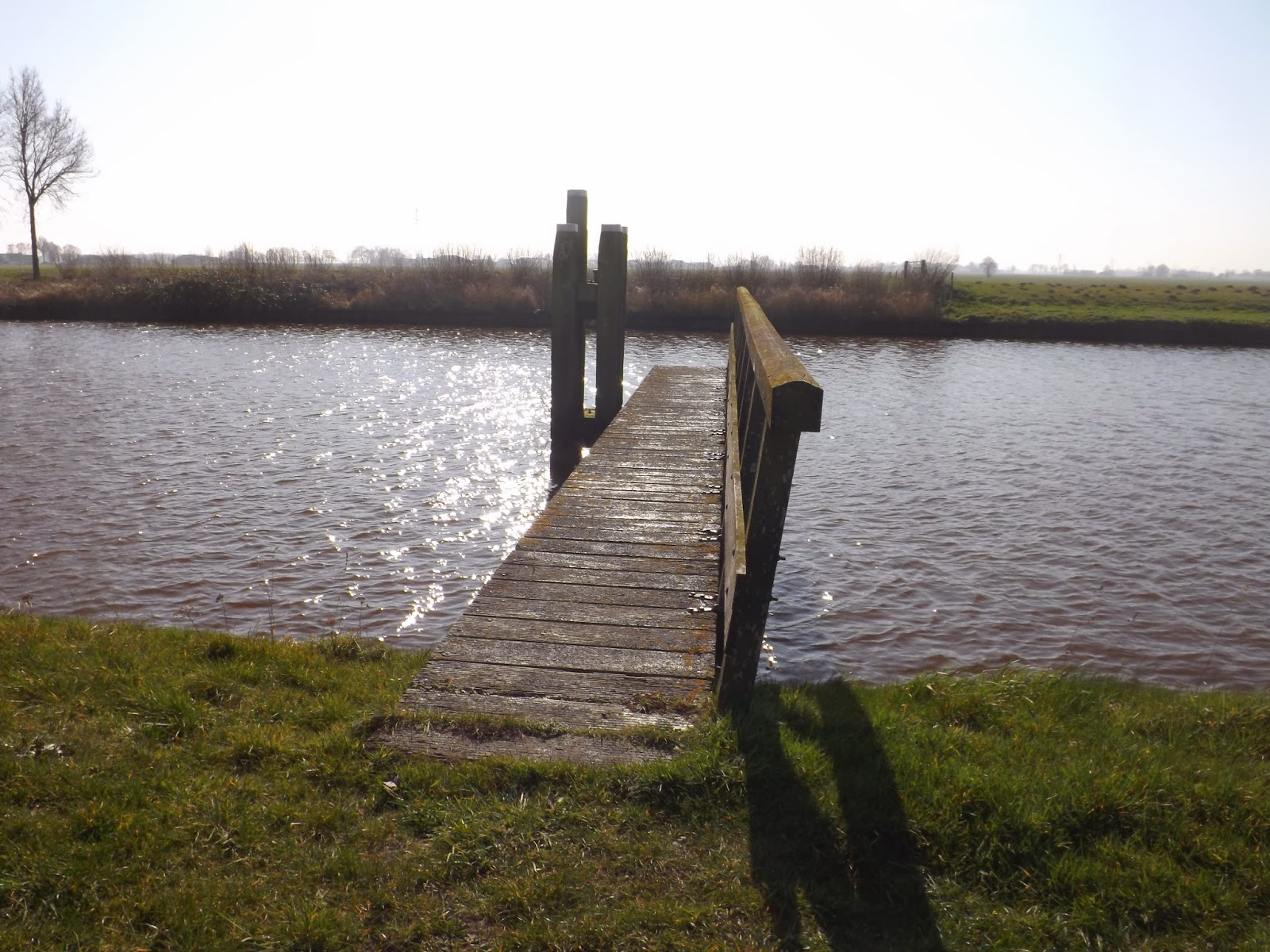 Foto's geëdit #1 / TESSA KLOK