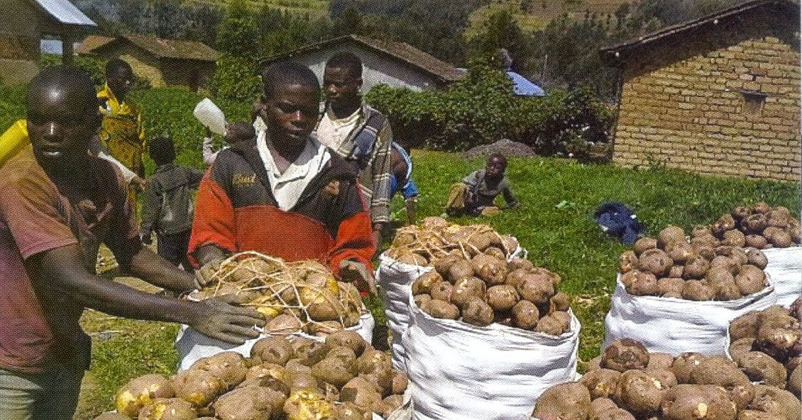 MBEYA YATEULIWA KWA UMAHIRI WA VIAZI MVIRINGO