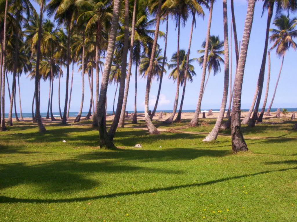 Prensa Libre Nagua: El potencial turístico de Nagua