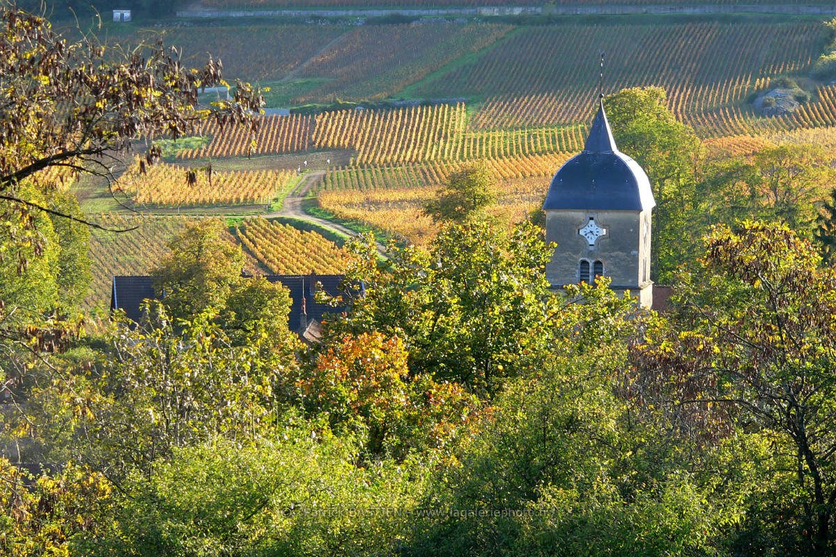 Fine Wine Review: Laurent Roumier Chambolle Musigny 2007