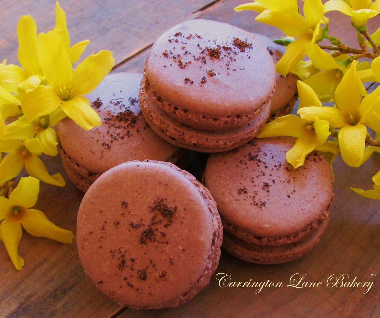 Carrington Lane Bakery: Ancho Chili and Chocolate Macarons