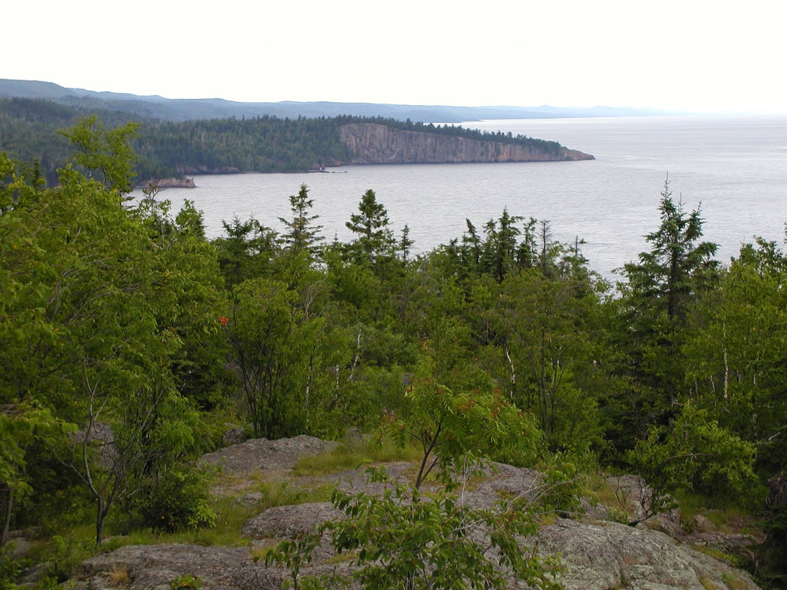 earthscienceguy: Minnesota Geology Monday - Palisade Head Rhyolite