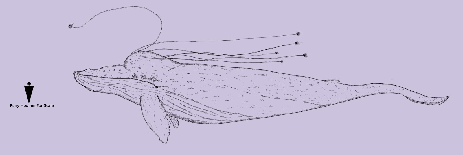 Yarrr! There she blows cap'n! The mutant whale that stole me foot! I ...