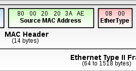 XYZ NETWORK: Ethernet Frame