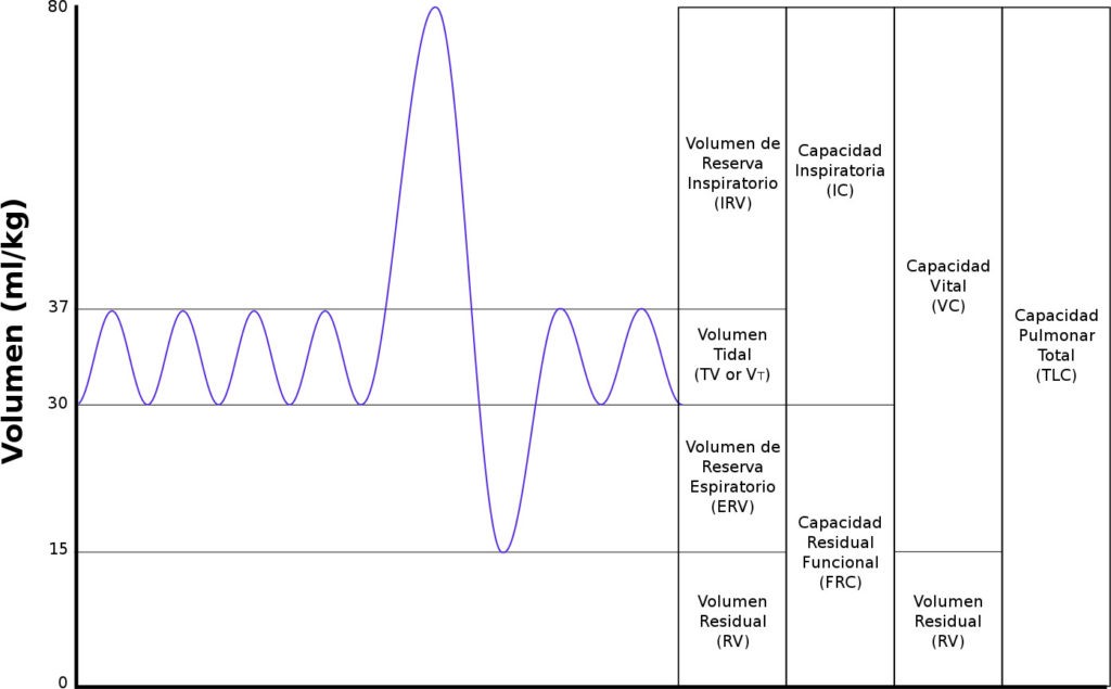 VOLUMENS Y CAPACIDADES PULMONARES